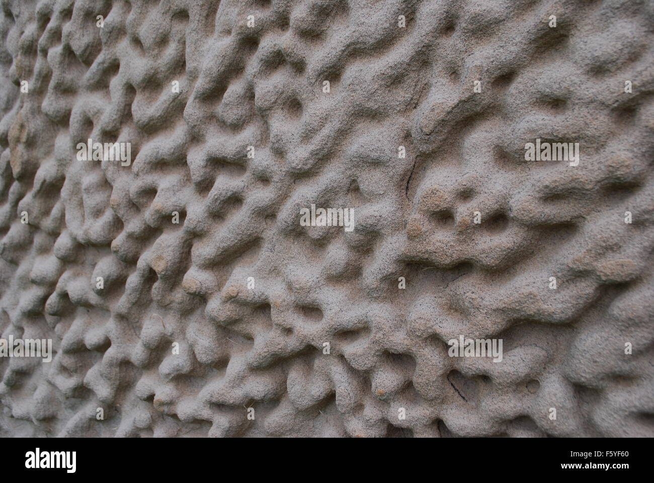 Close up of texture on old gravestone Stock Photo - Alamy