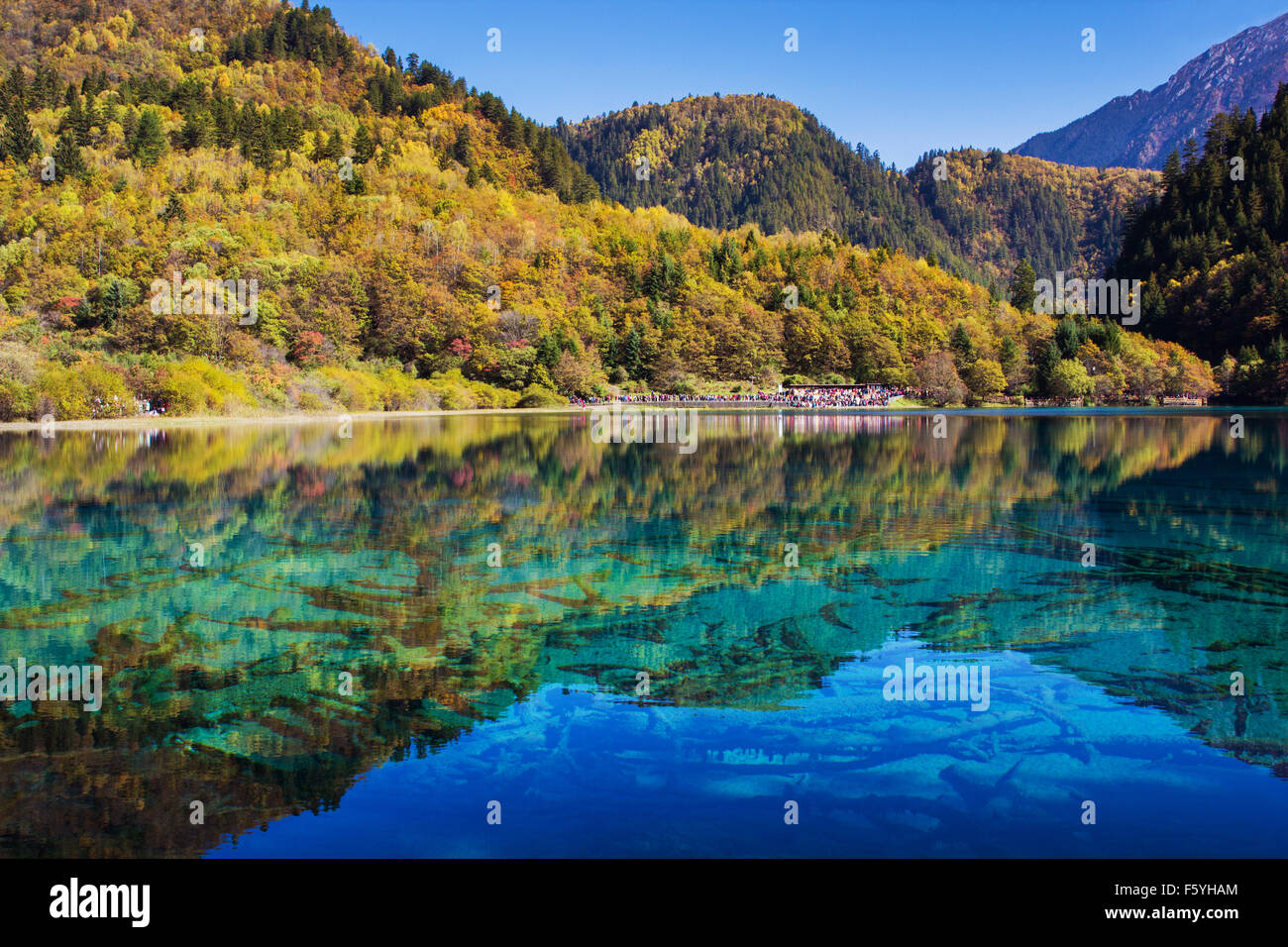 Jiuzhaigou national park, Five Flower Lake is lake in Sichuan, China ...