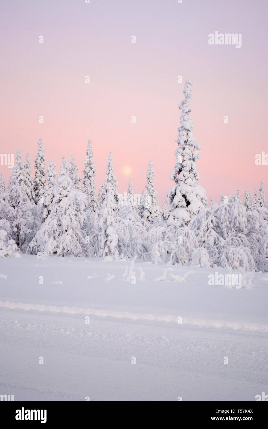 Winter scenes in the ski resort of Yllas, Finnish Lapland. Snow covered ...