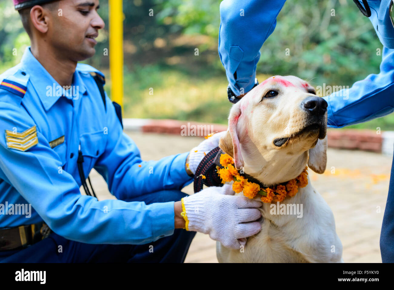 Indian Police Dog Training
