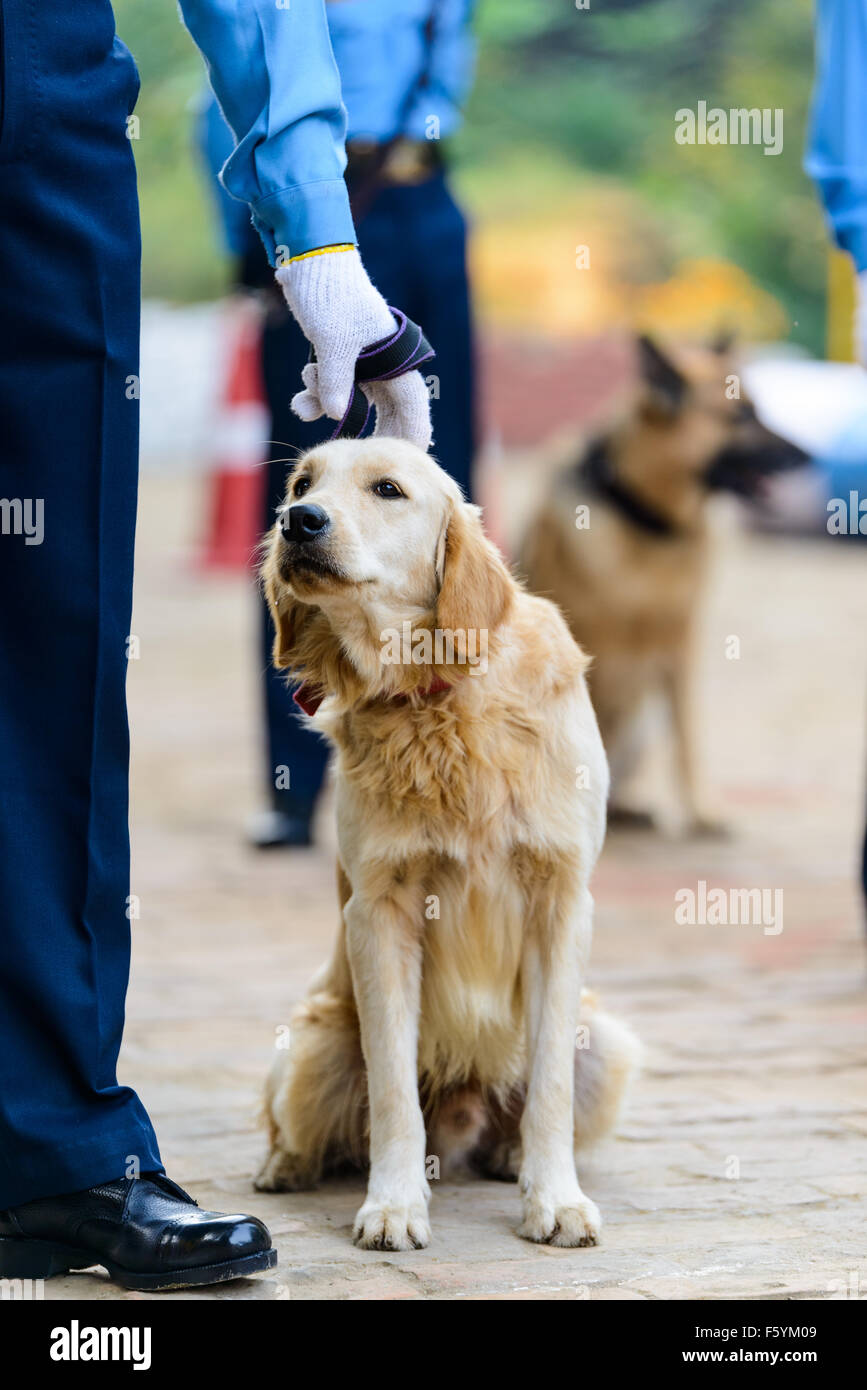 Police officer sits in police hi-res stock photography and images - Alamy