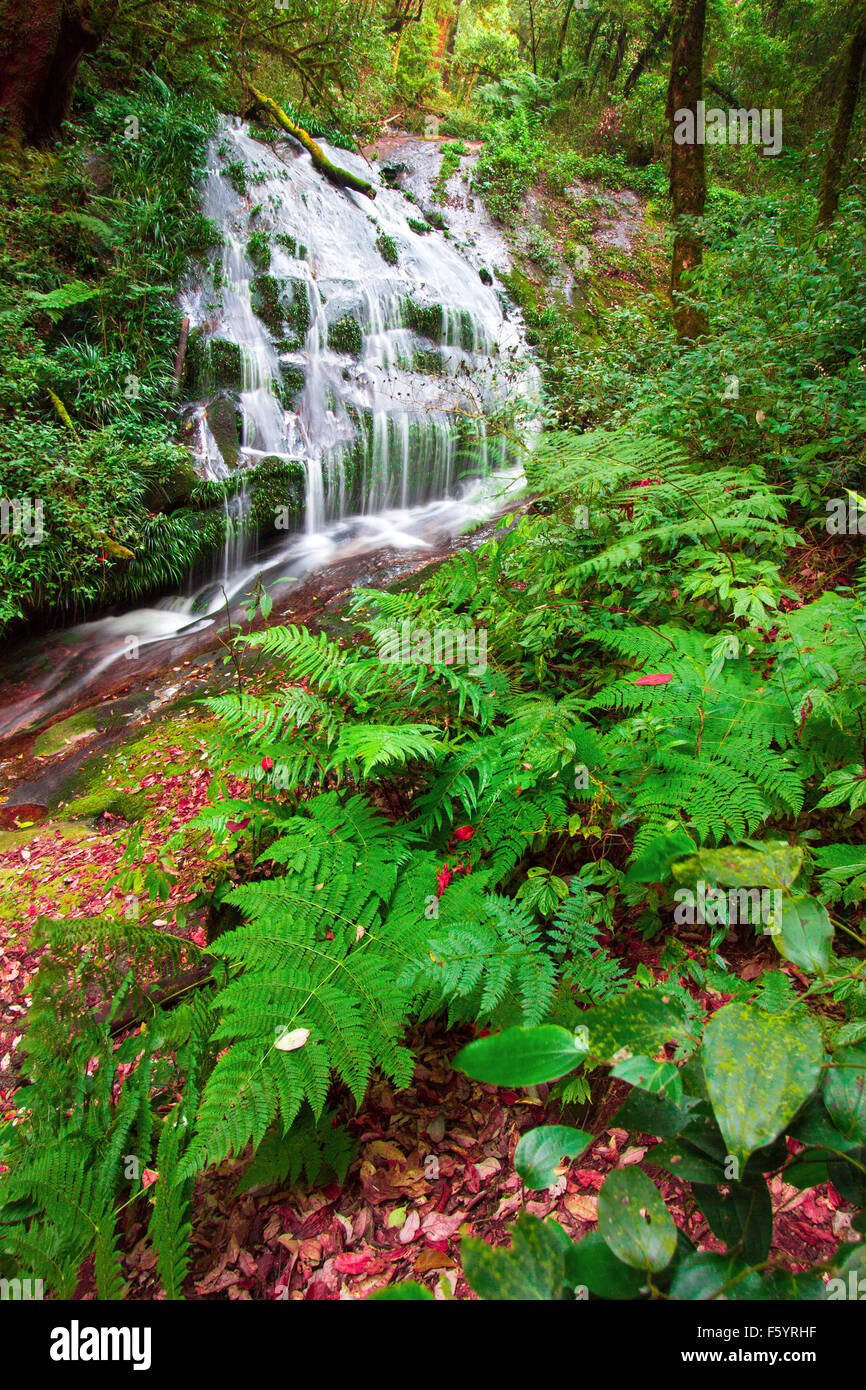 Larn hi-res stock photography and images - Alamy