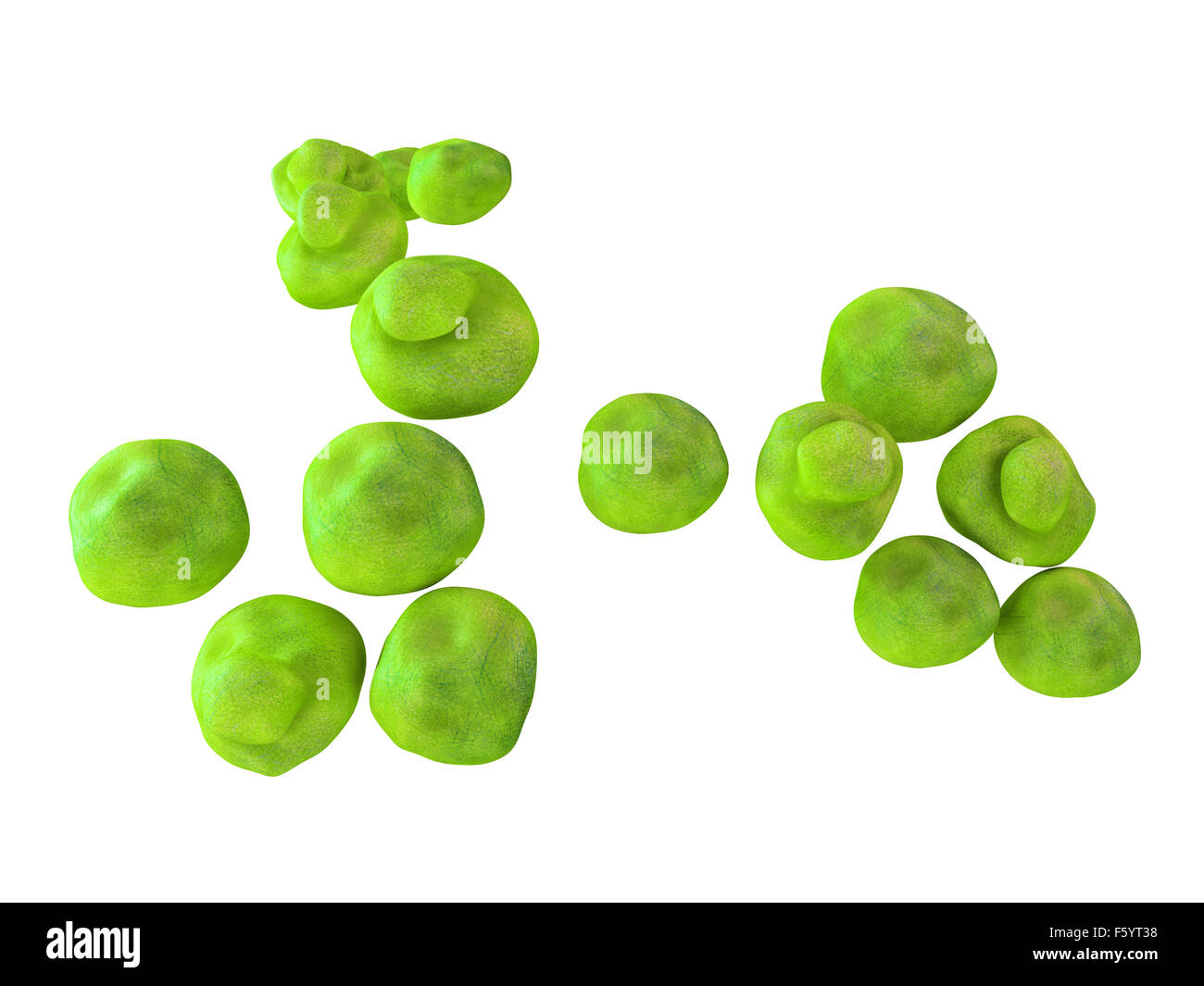 Chlamydia bacteria hi-res stock photography and images - Alamy