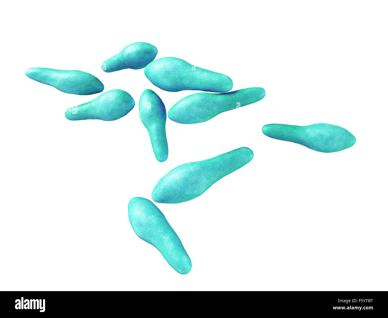 medical bacteria illustration of the clostridium Stock Photo - Alamy