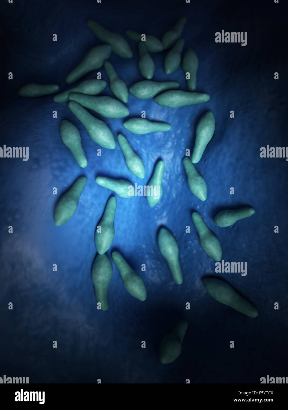 medical bacteria illustration of the clostridium Stock Photo - Alamy