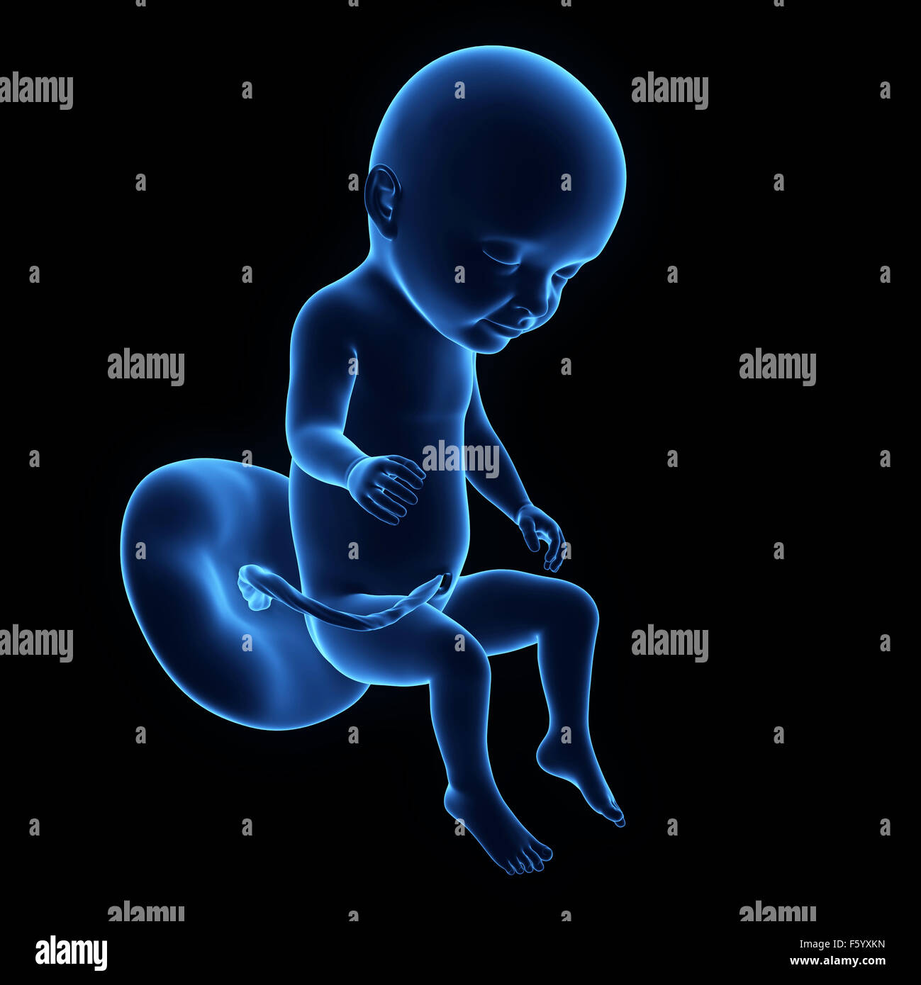 Pregnant illustration week 31 hi-res stock photography and images - Alamy