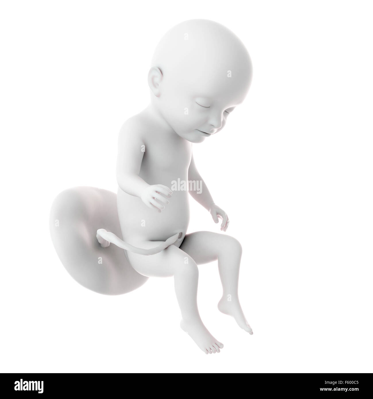 Pregnant illustration week 31 Cut Out Stock Images & Pictures - Alamy