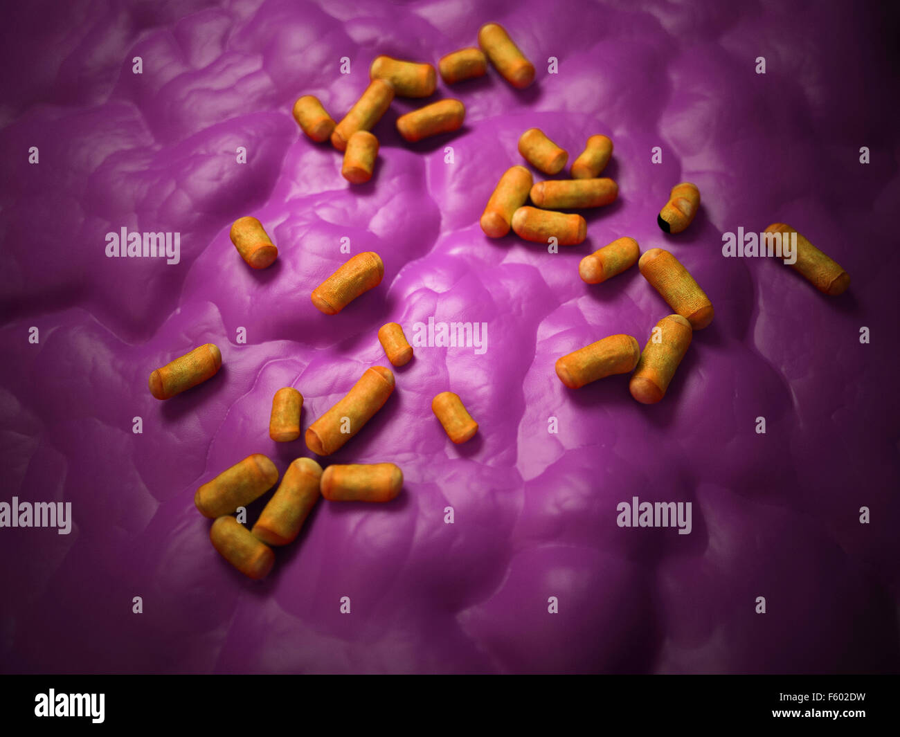 medical bacteria illustration of the lactobacillus Stock Photo - Alamy