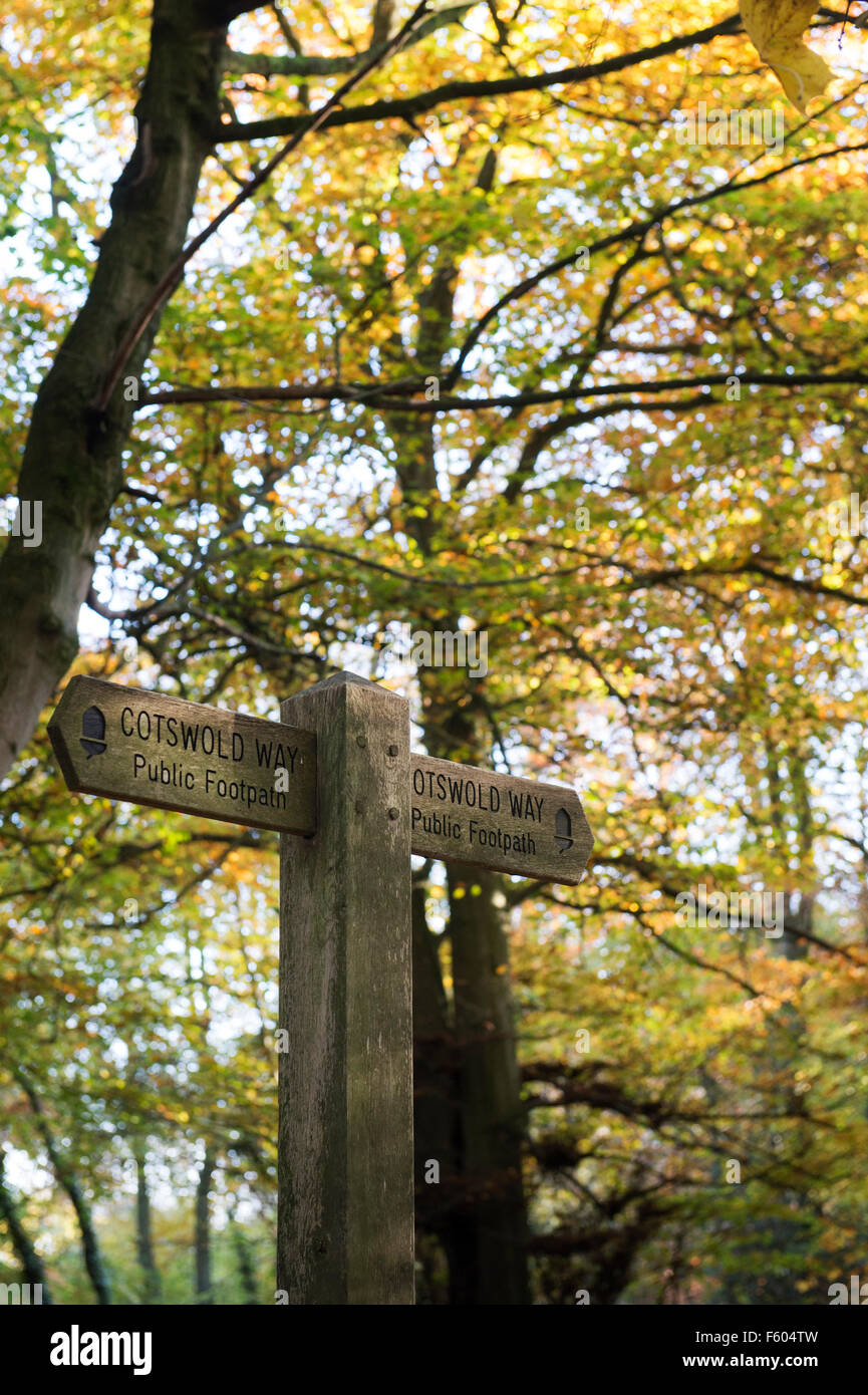 Cotswold Way signpost in an autumn woodland near Painswick. Cotswolds ...