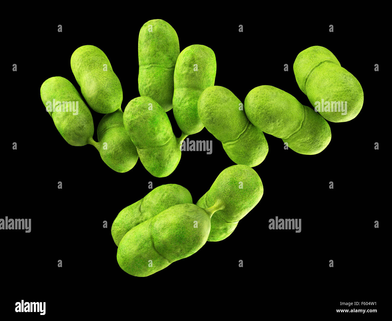 Listeria bacterium hi-res stock photography and images - Alamy