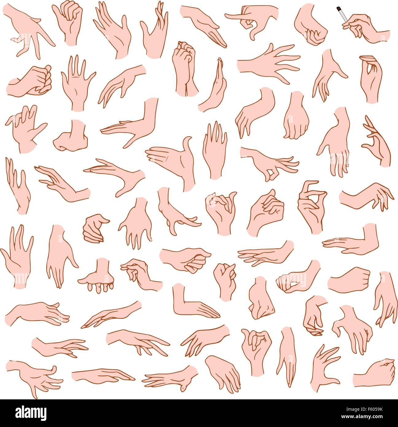 Vector illustrations pack of woman hands in various gestures Stock Vector Image & Art - Alamy