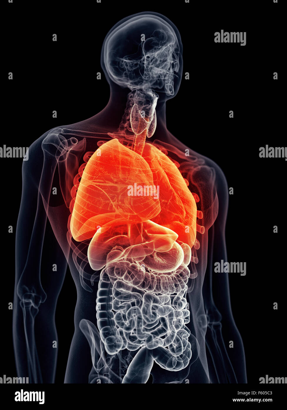 Black lung disease hi-res stock photography and images - Alamy