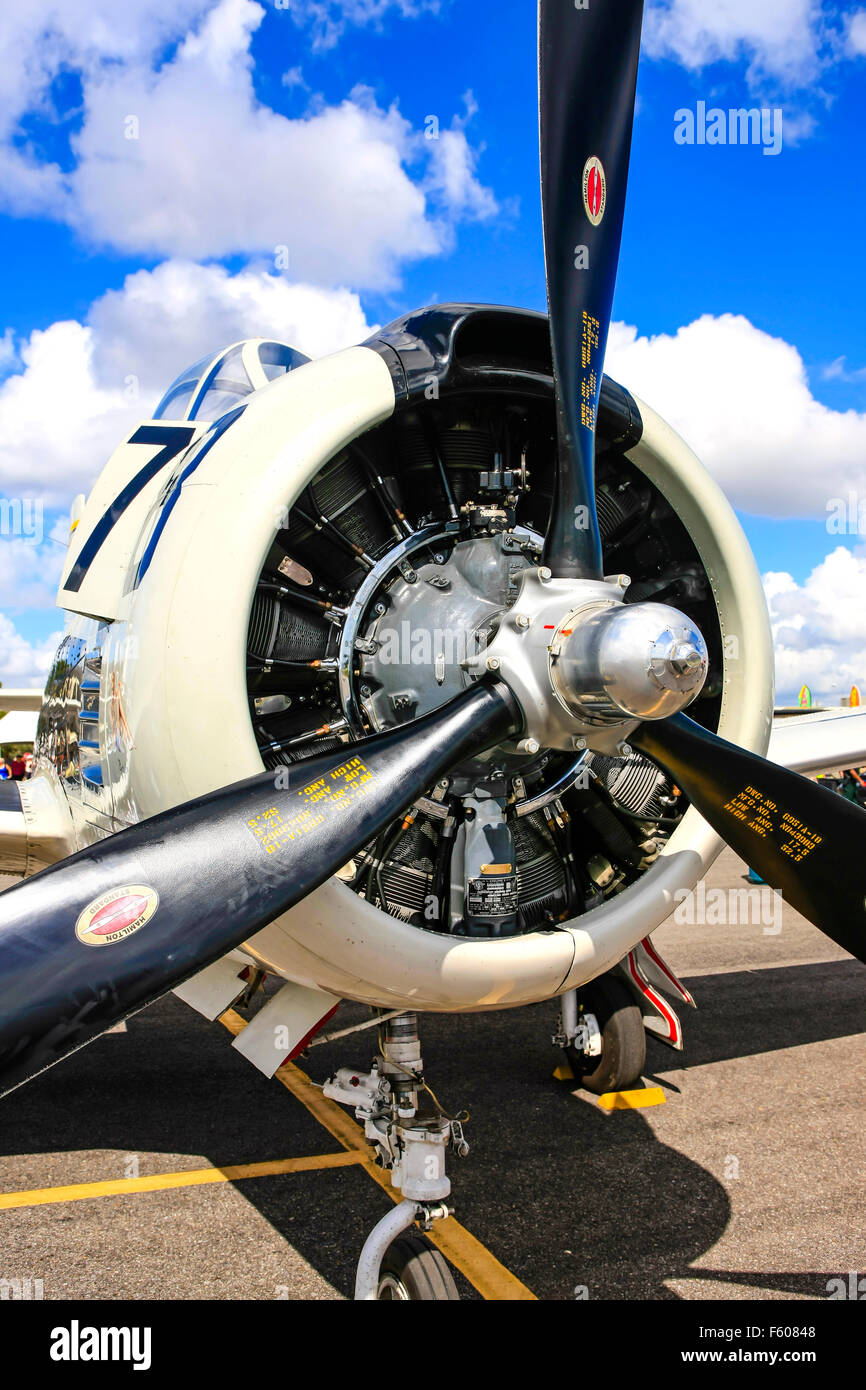 T 28 trojan hi-res stock photography and images - Alamy