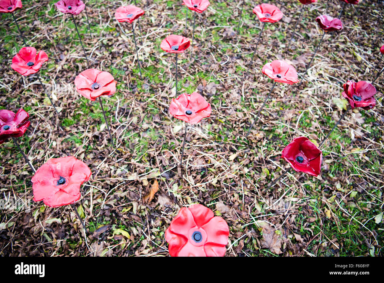 School, inspired by last year's installation at The Tower of London ...