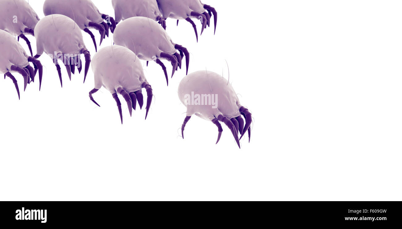 Common 3d illustration white hi-res stock photography and images - Alamy