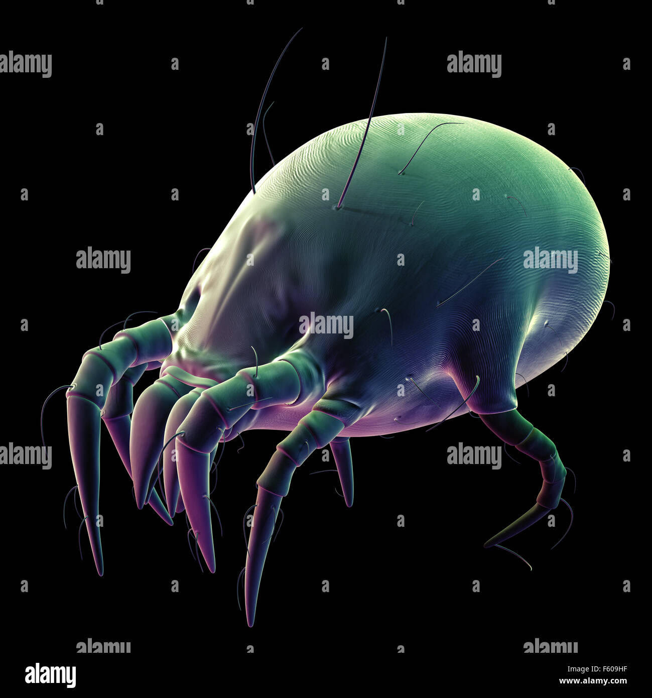 This illustration is a common hi-res stock photography and images - Alamy