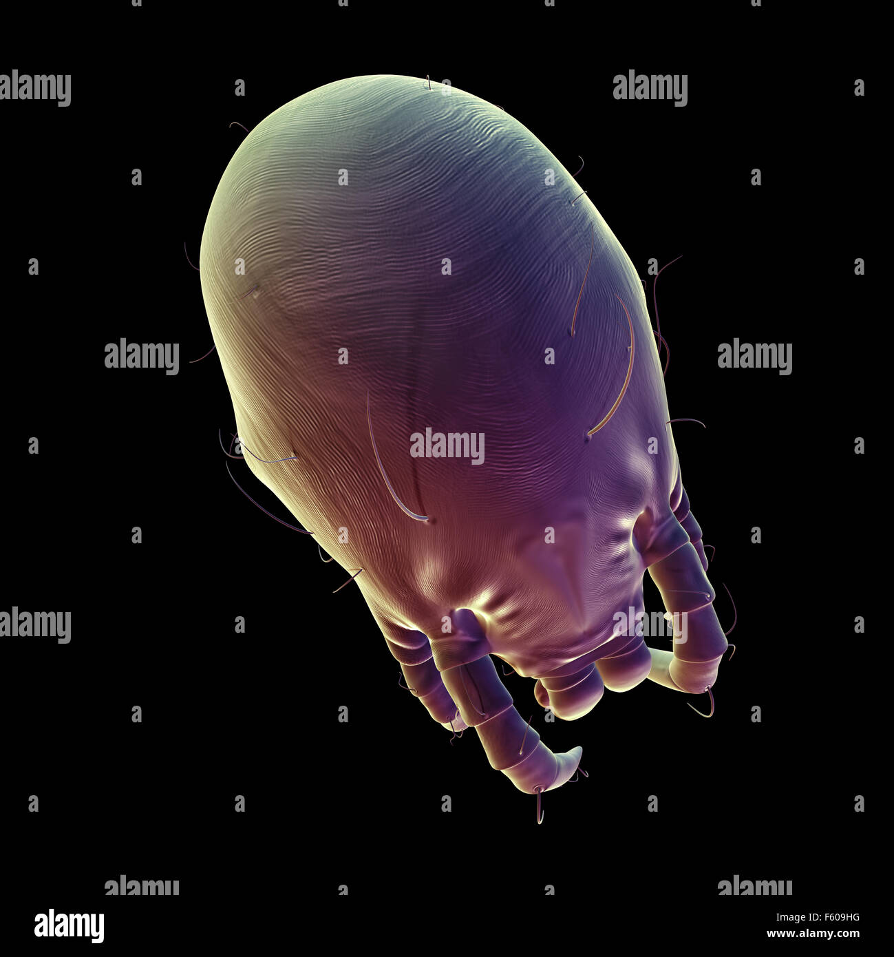 This illustration is a common High Resolution Stock Photography and ...