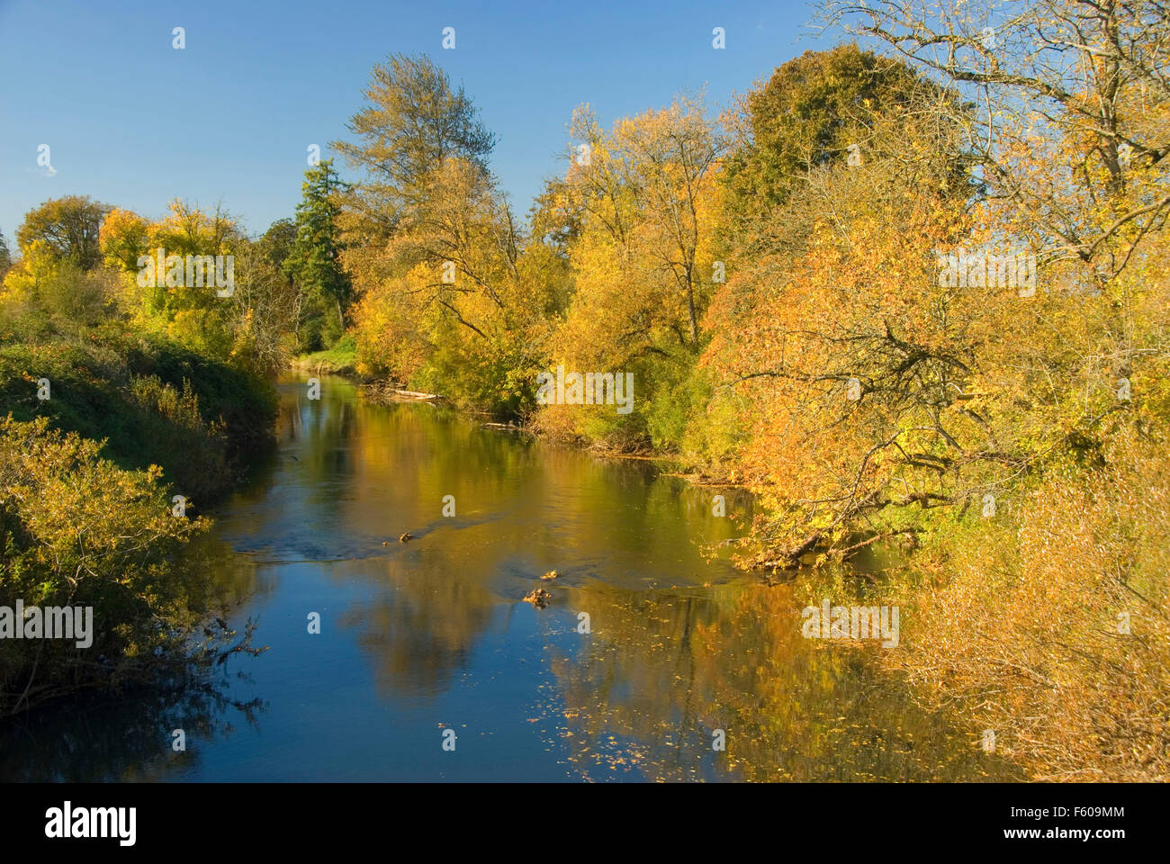 Calapooia hi-res stock photography and images - Alamy