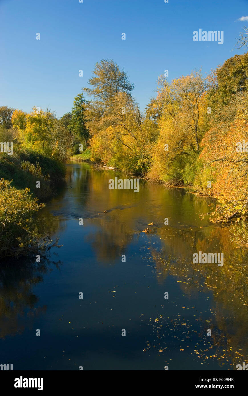 Calapooia River, Linn County, Oregon Stock Photo - Alamy