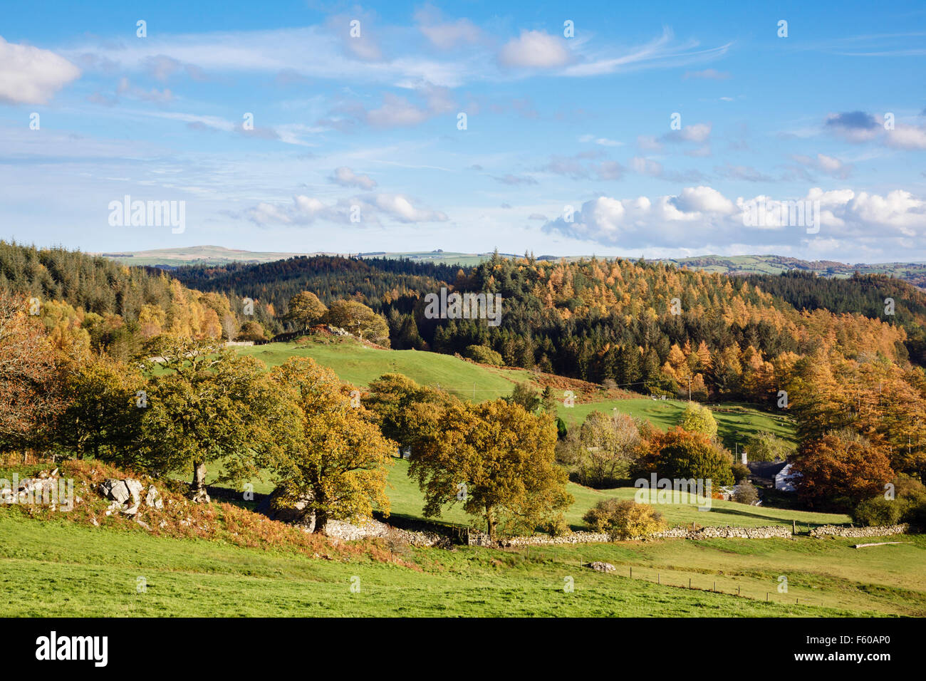 Gwydyr Forest Park countryside landscape in autumn in Snowdonia ...