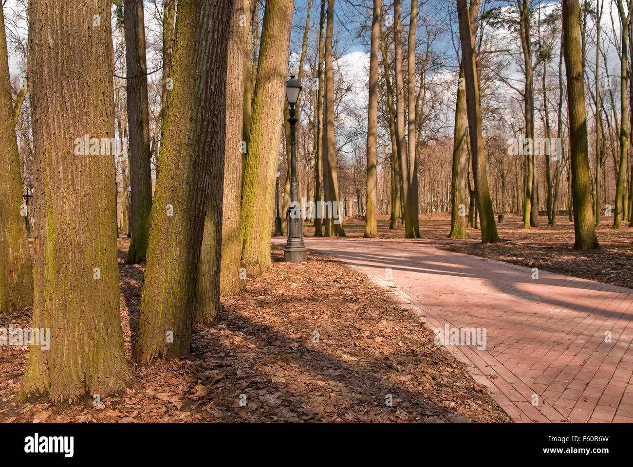 Empty paths hi-res stock photography and images - Alamy