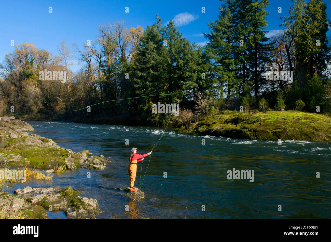 Flyfishing the McKenzie River, Greenwood Landing County Park, Lane ...
