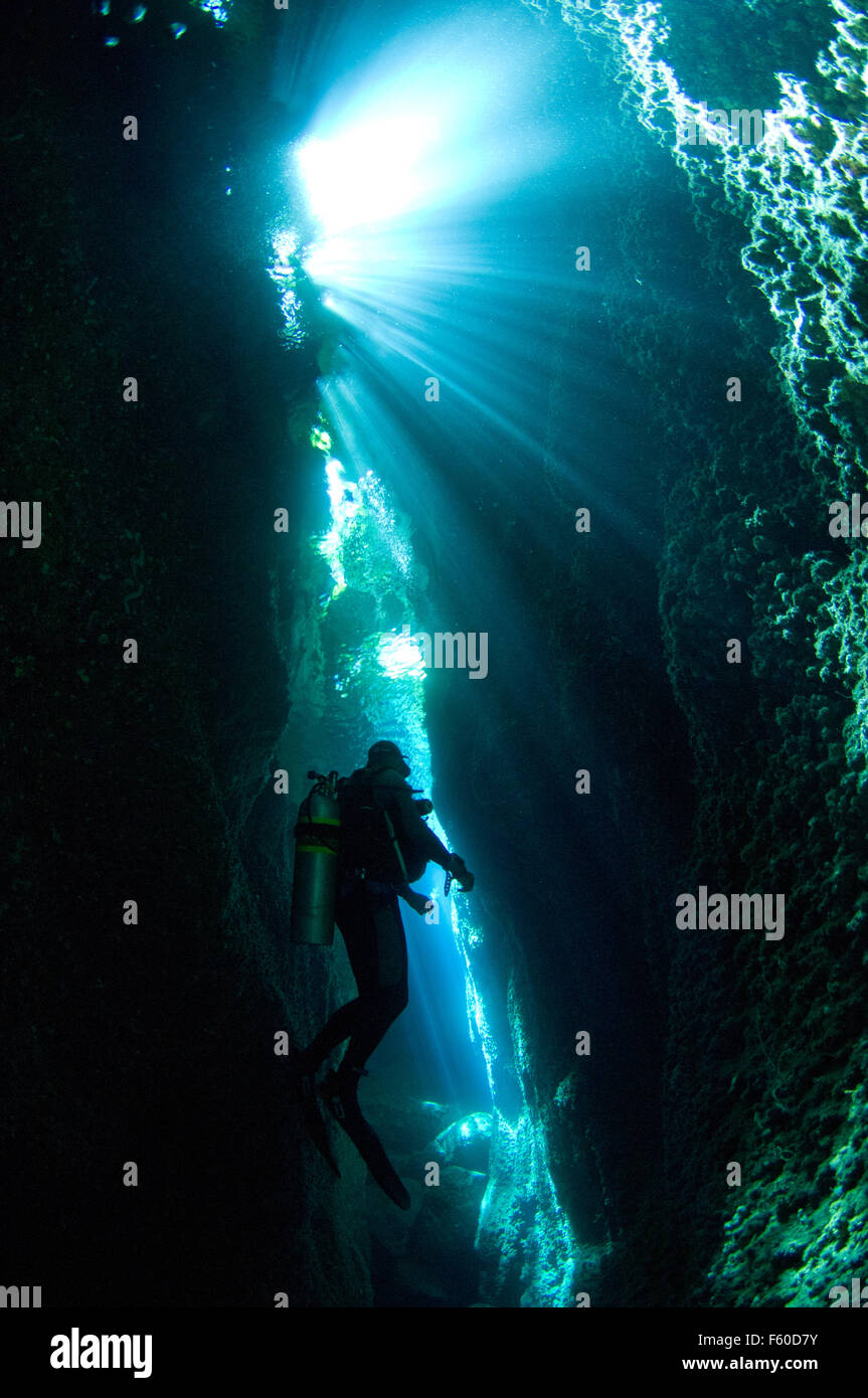 Diving Leru Cut Stock Photo - Alamy