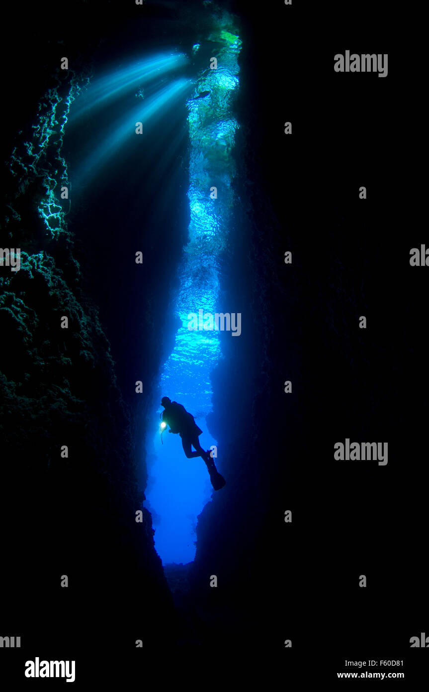 Diving Leru Cut Stock Photo - Alamy