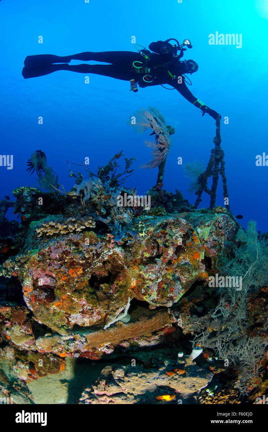 Diver on the cross wreck Stock Photo - Alamy