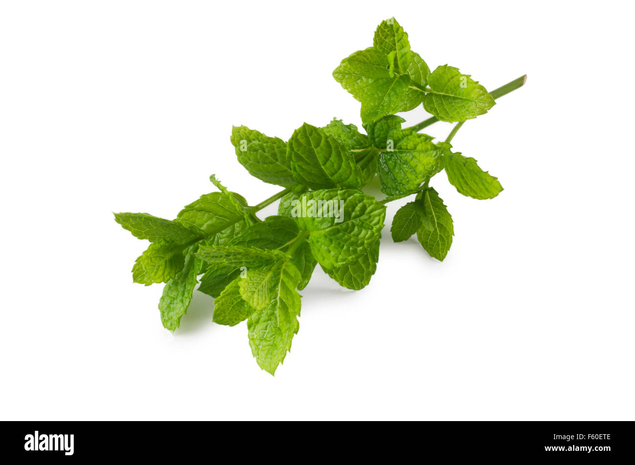Mint flavour herb hi-res stock photography and images - Alamy