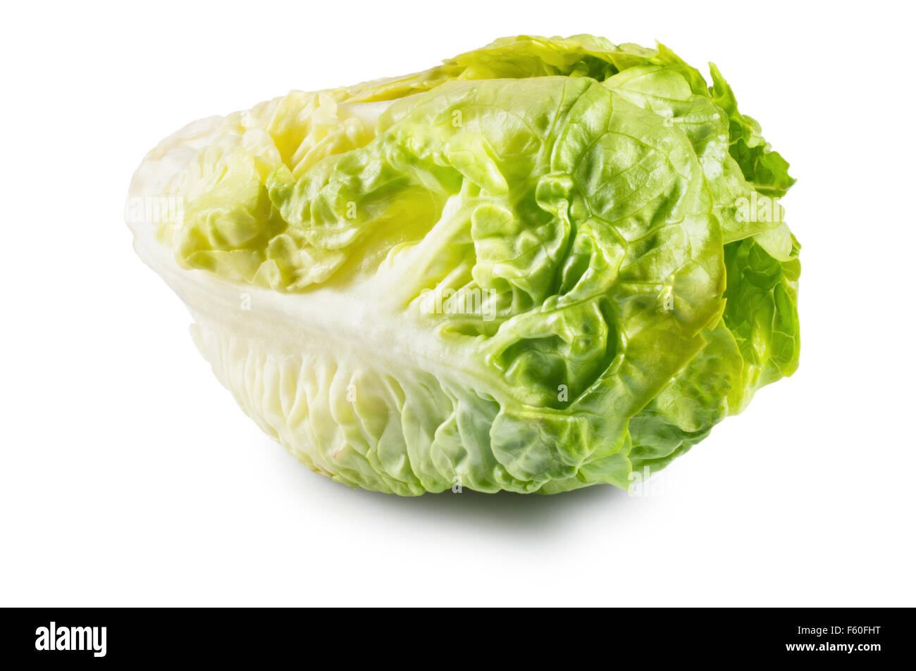 Little Gem Lettuce Stock Photo - Alamy