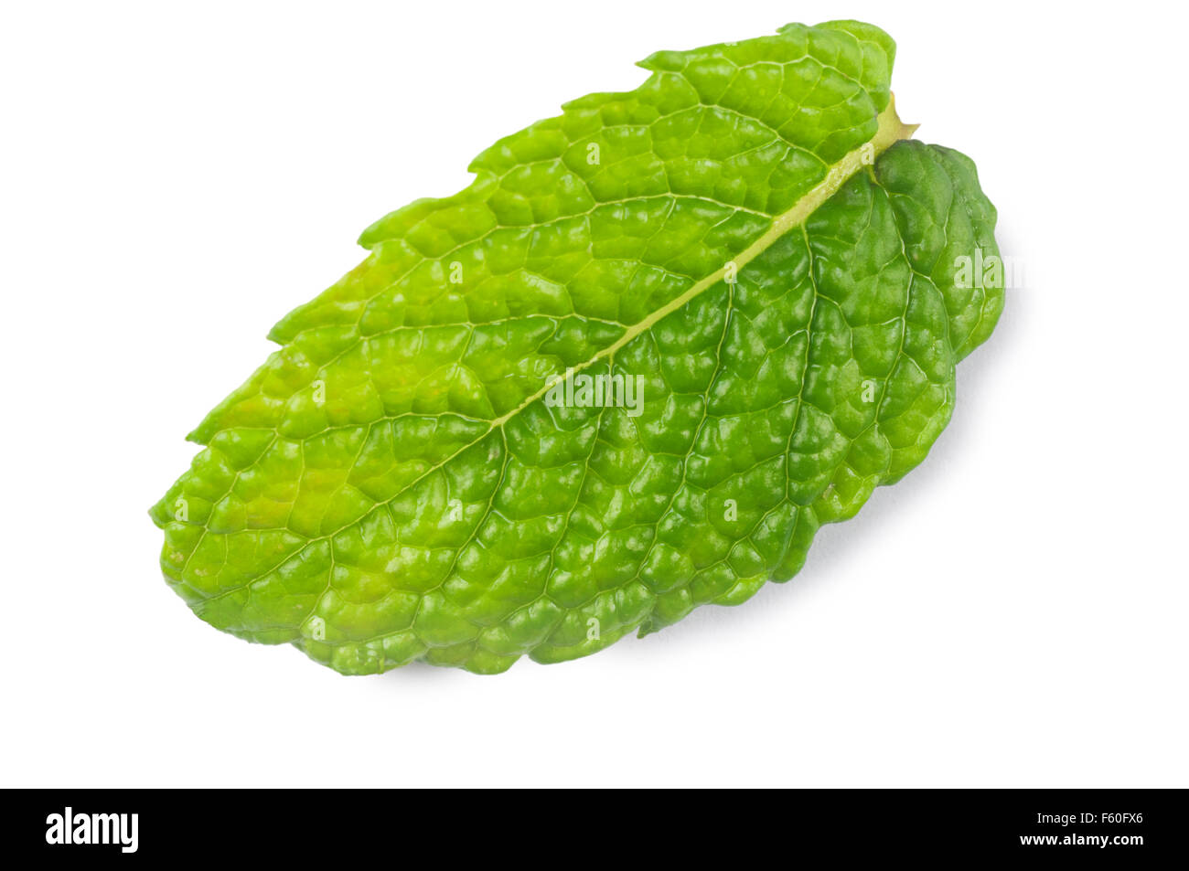 Mint flavour herb hi-res stock photography and images - Alamy