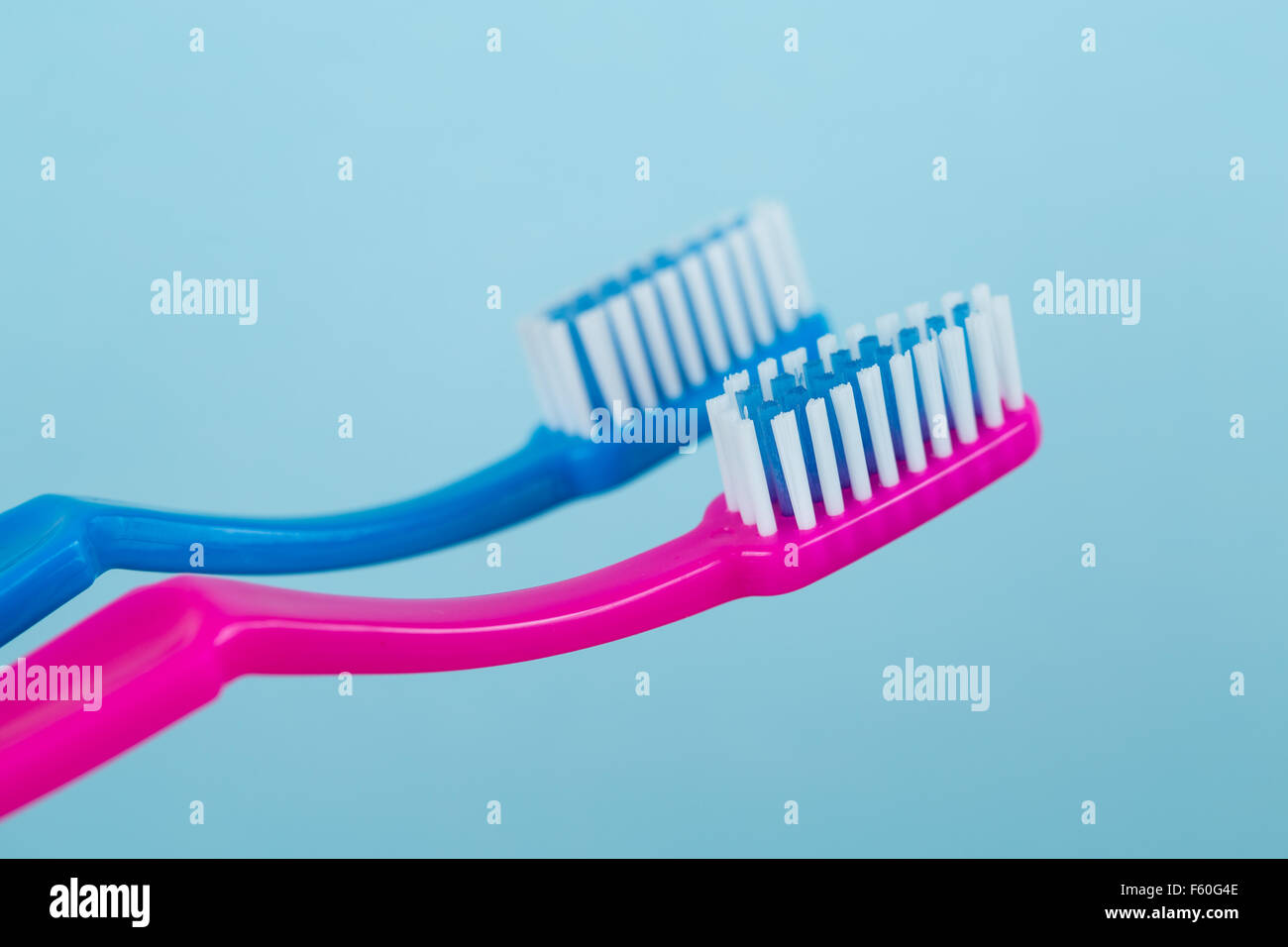 Two molar hi-res stock photography and images - Alamy
