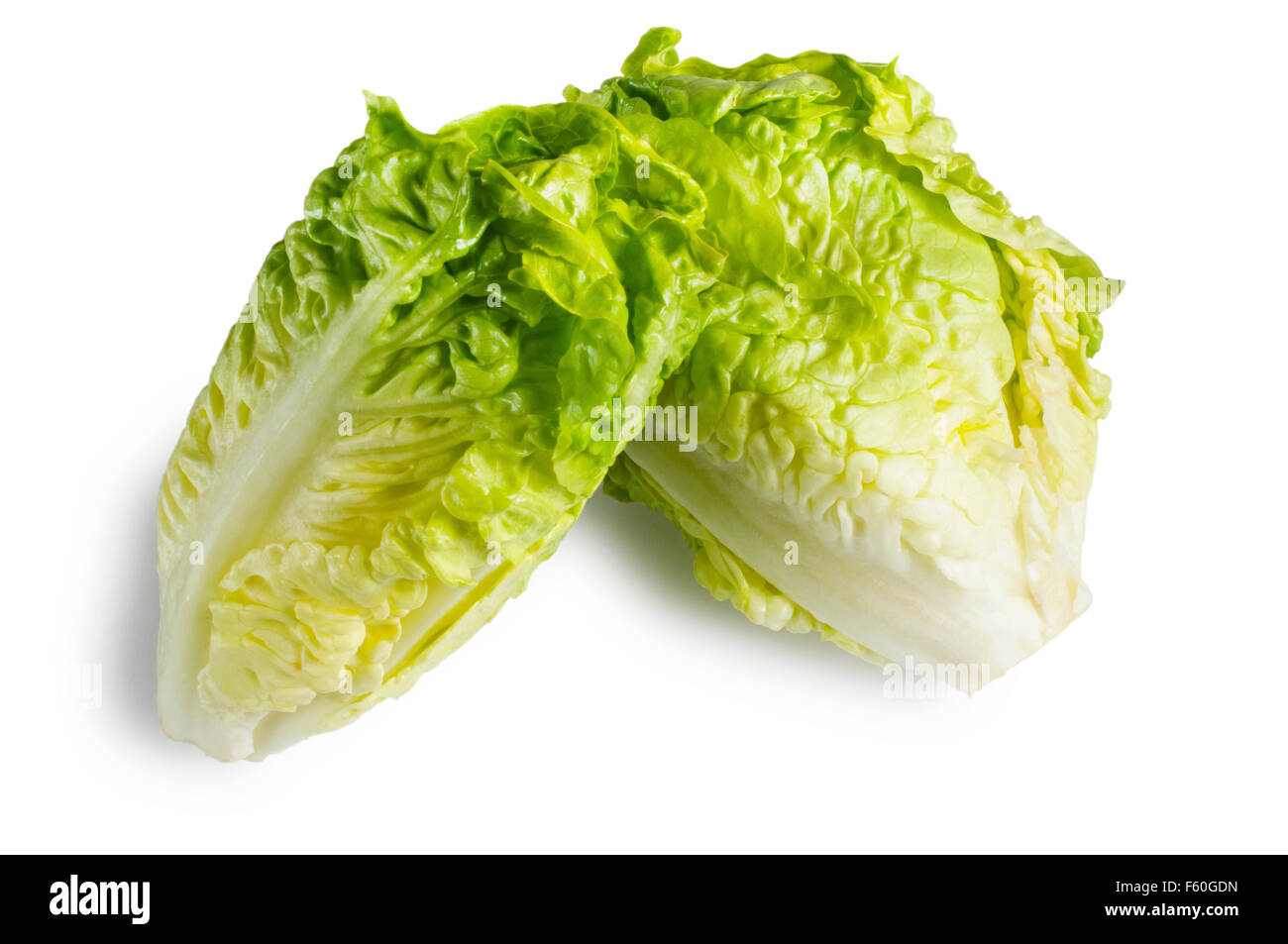 Little Gem Lettuce Stock Photo - Alamy