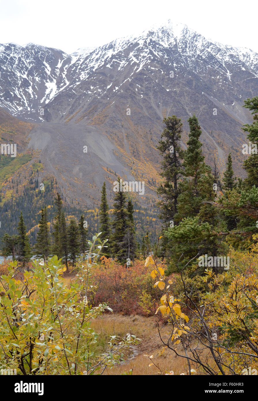 Yukon landscape in the fall Stock Photo - Alamy