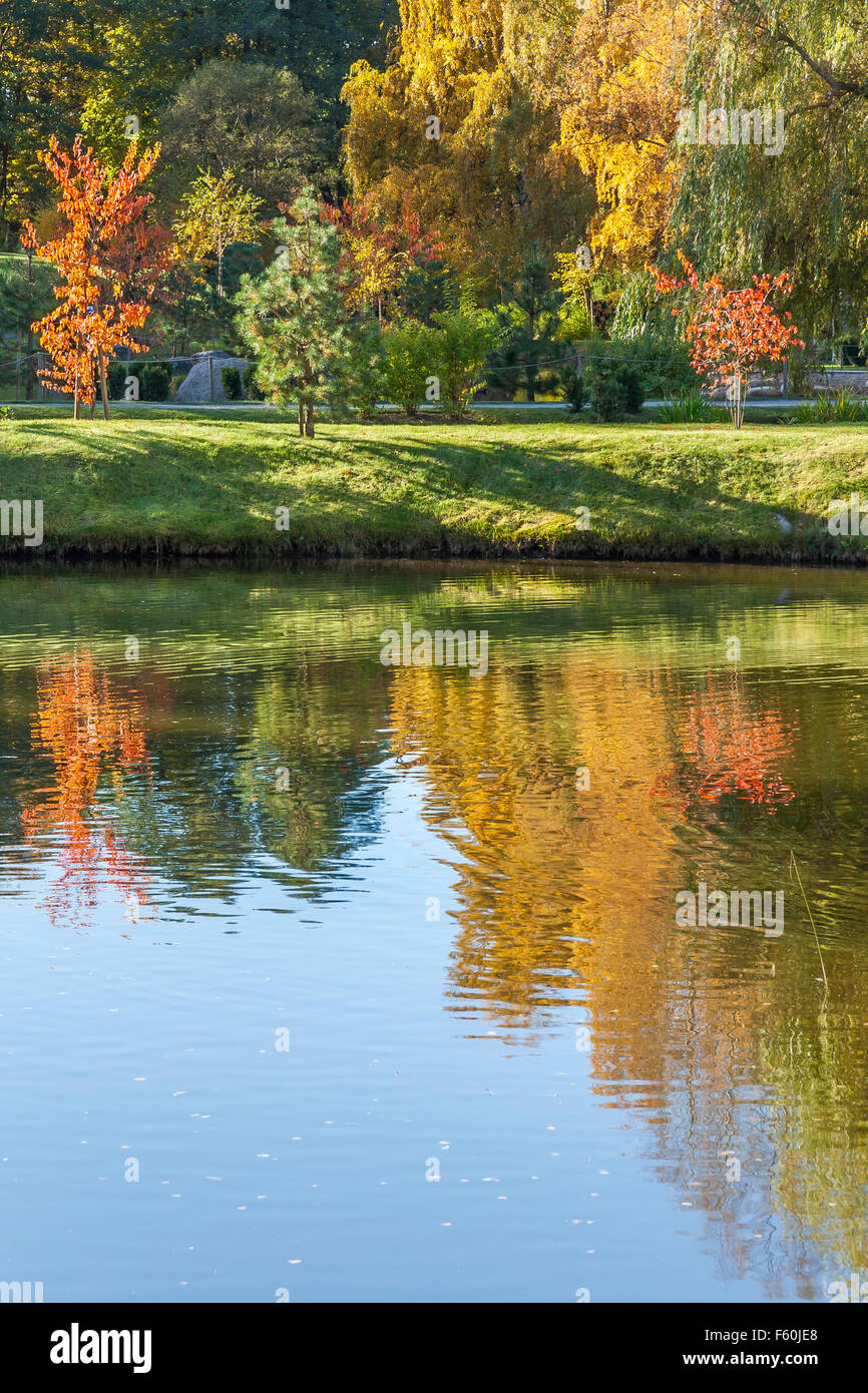 Reflection of Autumn Trees in Water Stock Photo - Alamy