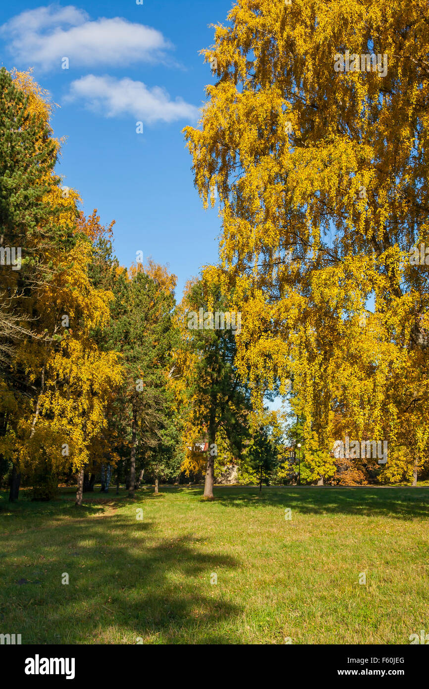 Gold leaf landscape hi-res stock photography and images - Alamy