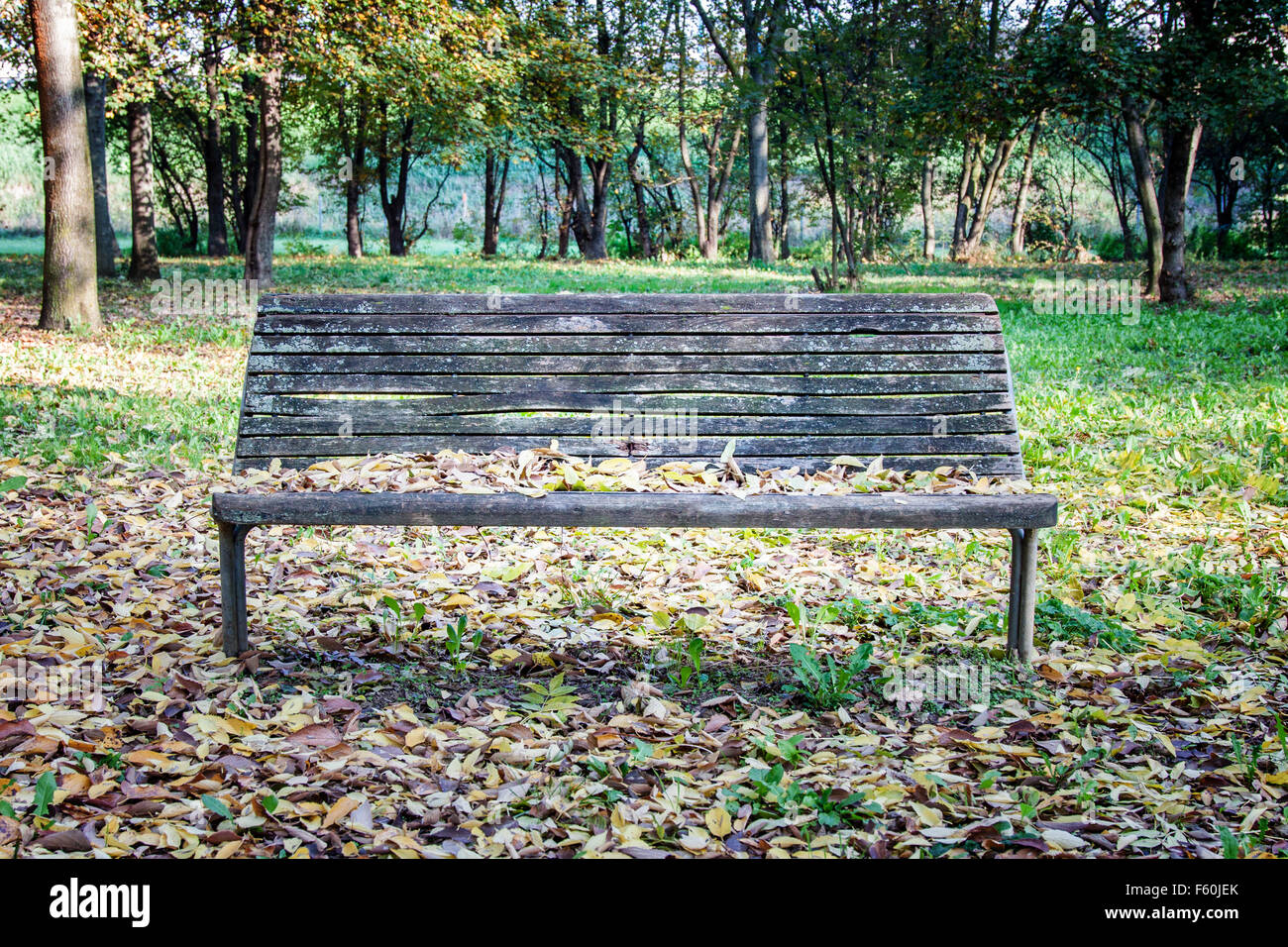 Alone among many hi-res stock photography and images - Alamy