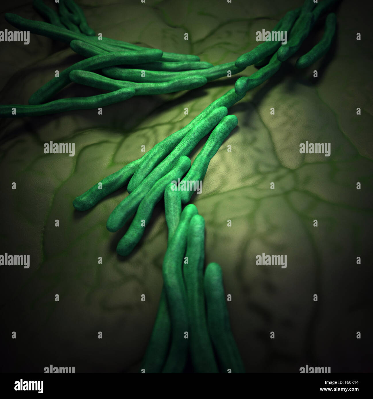 Mycobacterium tuberculosis bacterium hi-res stock photography and images - Alamy