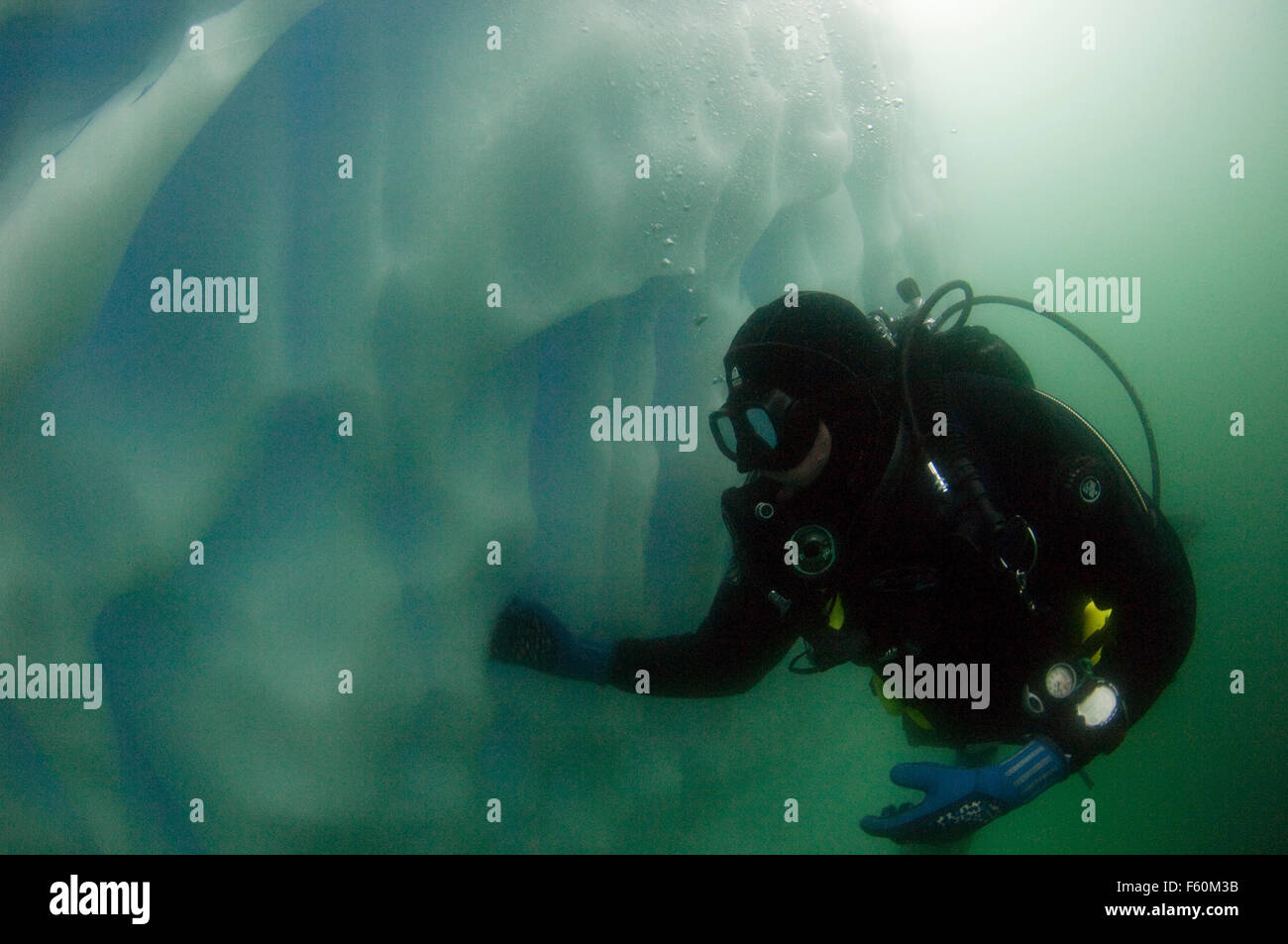 Diving an iceberg, Antarctica Stock Photo - Alamy
