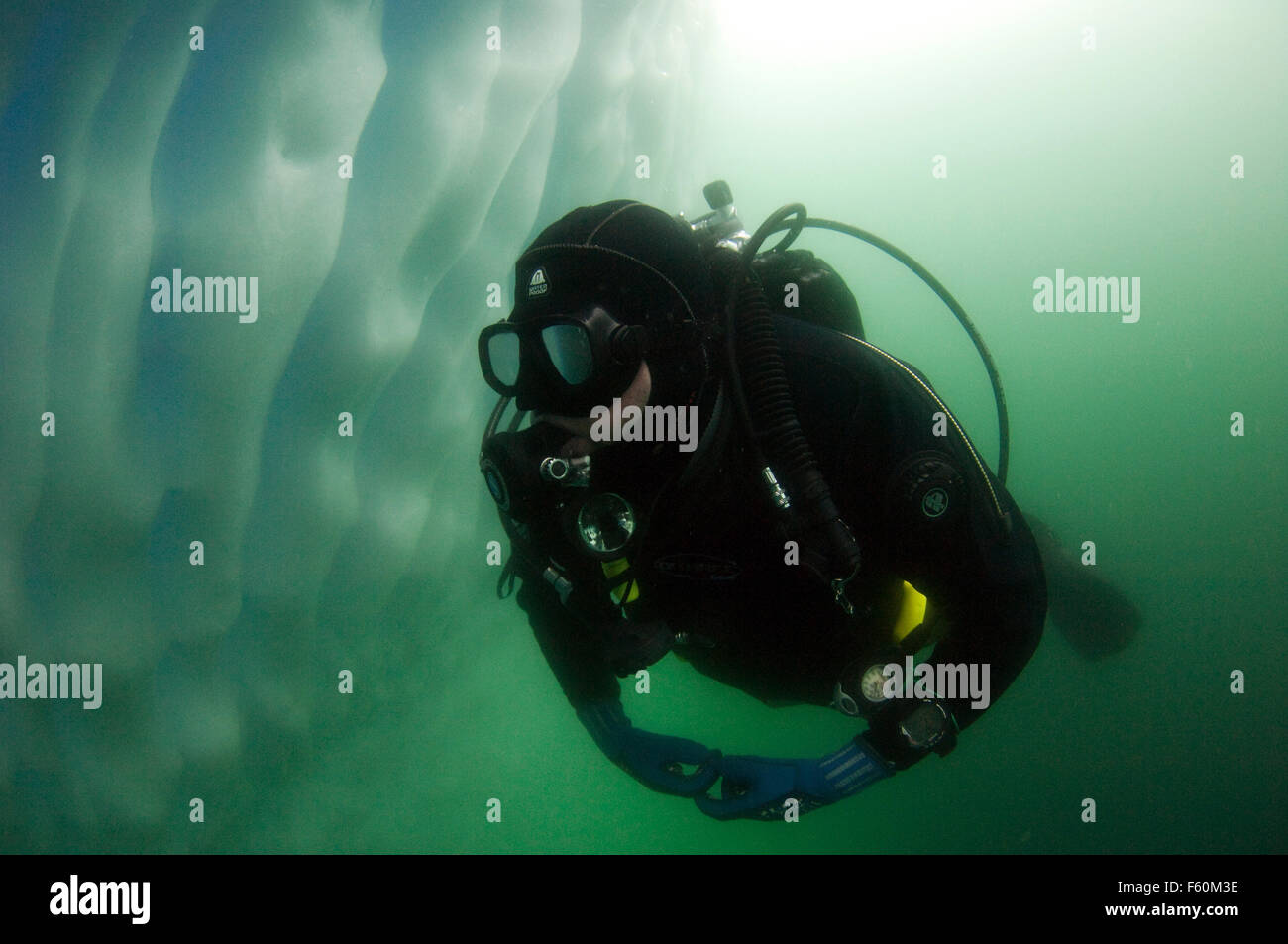 Diving an iceberg, Antarctica Stock Photo - Alamy