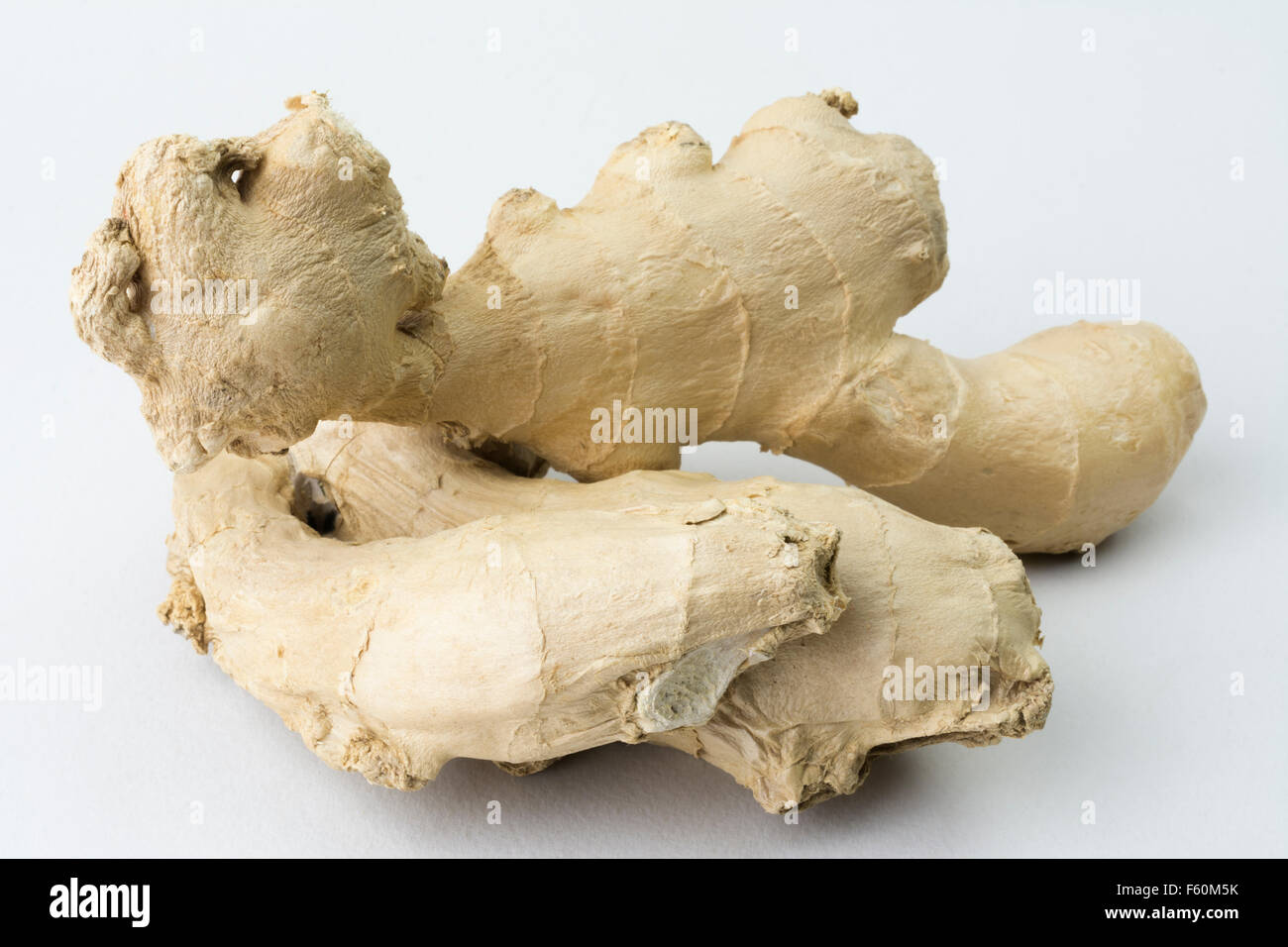 Ginger plant hi-res stock photography and images - Alamy