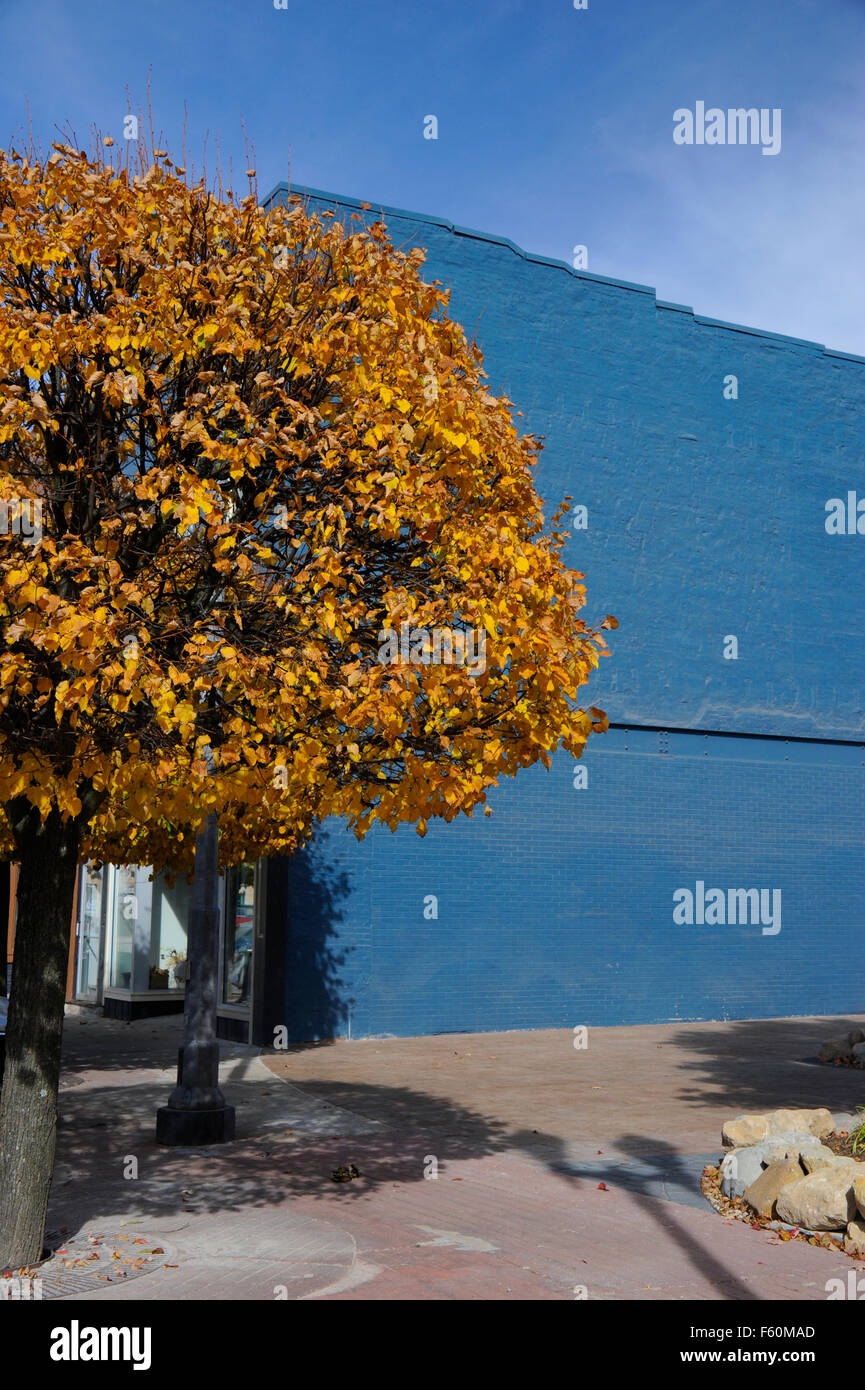 Complementary colors hi-res stock photography and images - Alamy