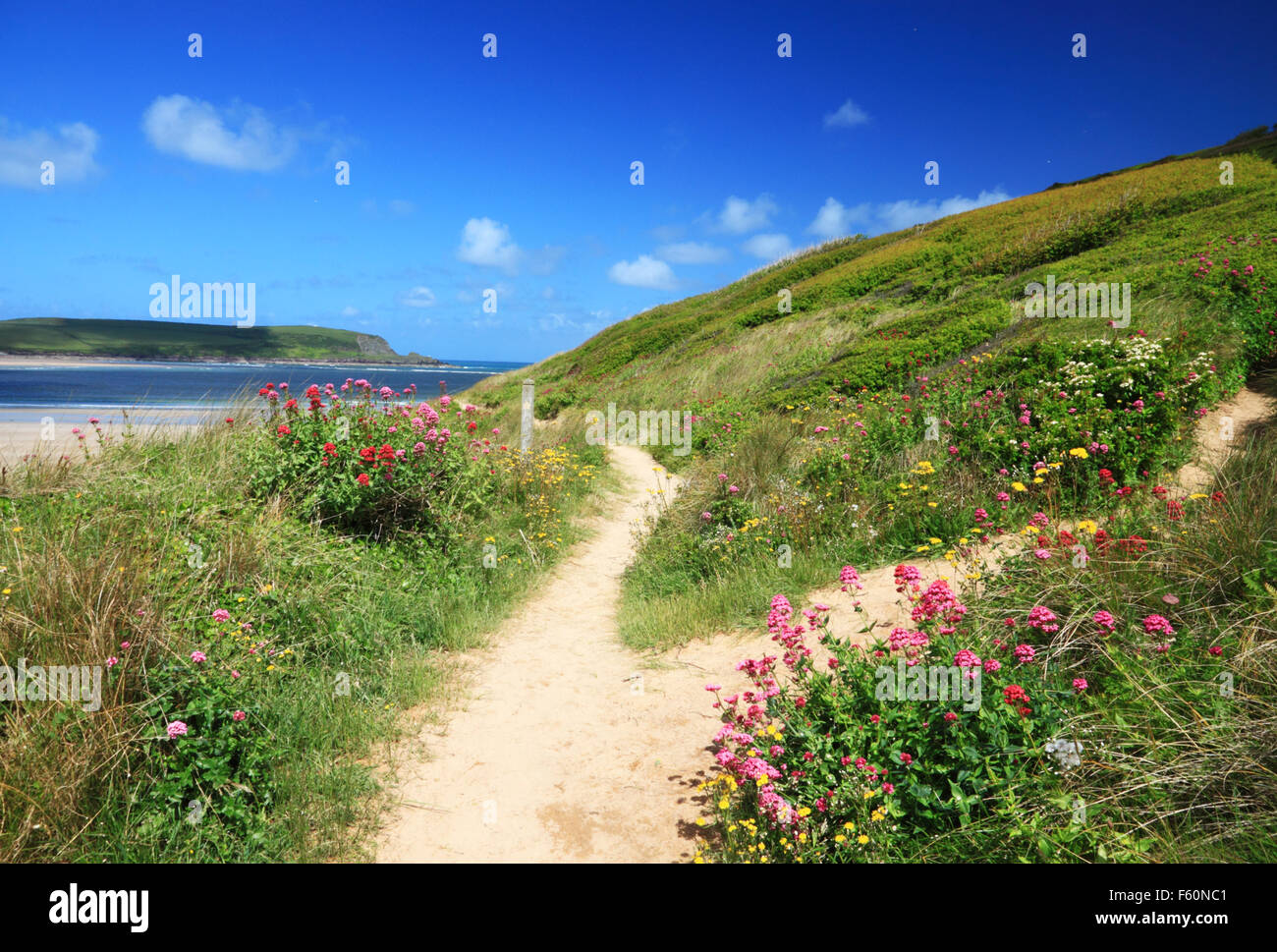 View from Cornwall Coast Path at Brea Hill across Camel estuary towards ...