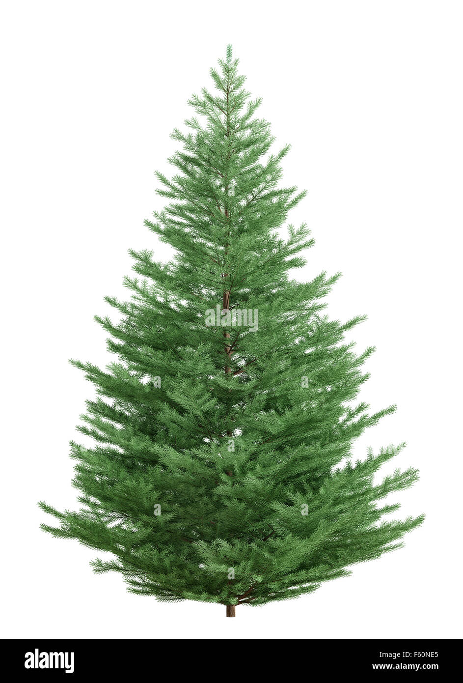 Christmas fir tree isolated over white 3d rendering Stock Photo - Alamy