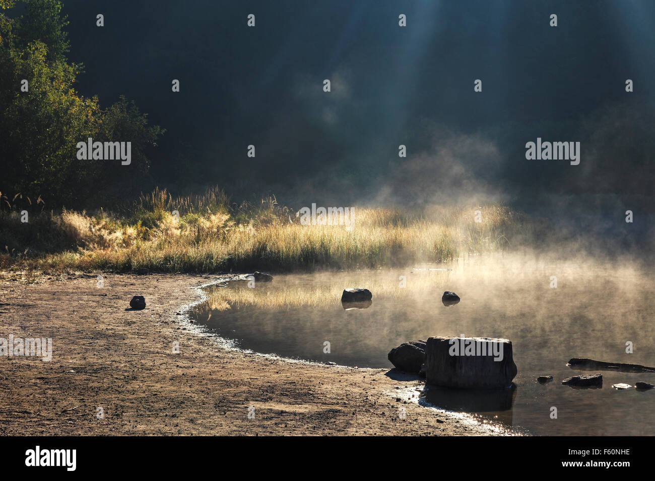 Steamy lake and dark forest in summer Stock Photo - Alamy