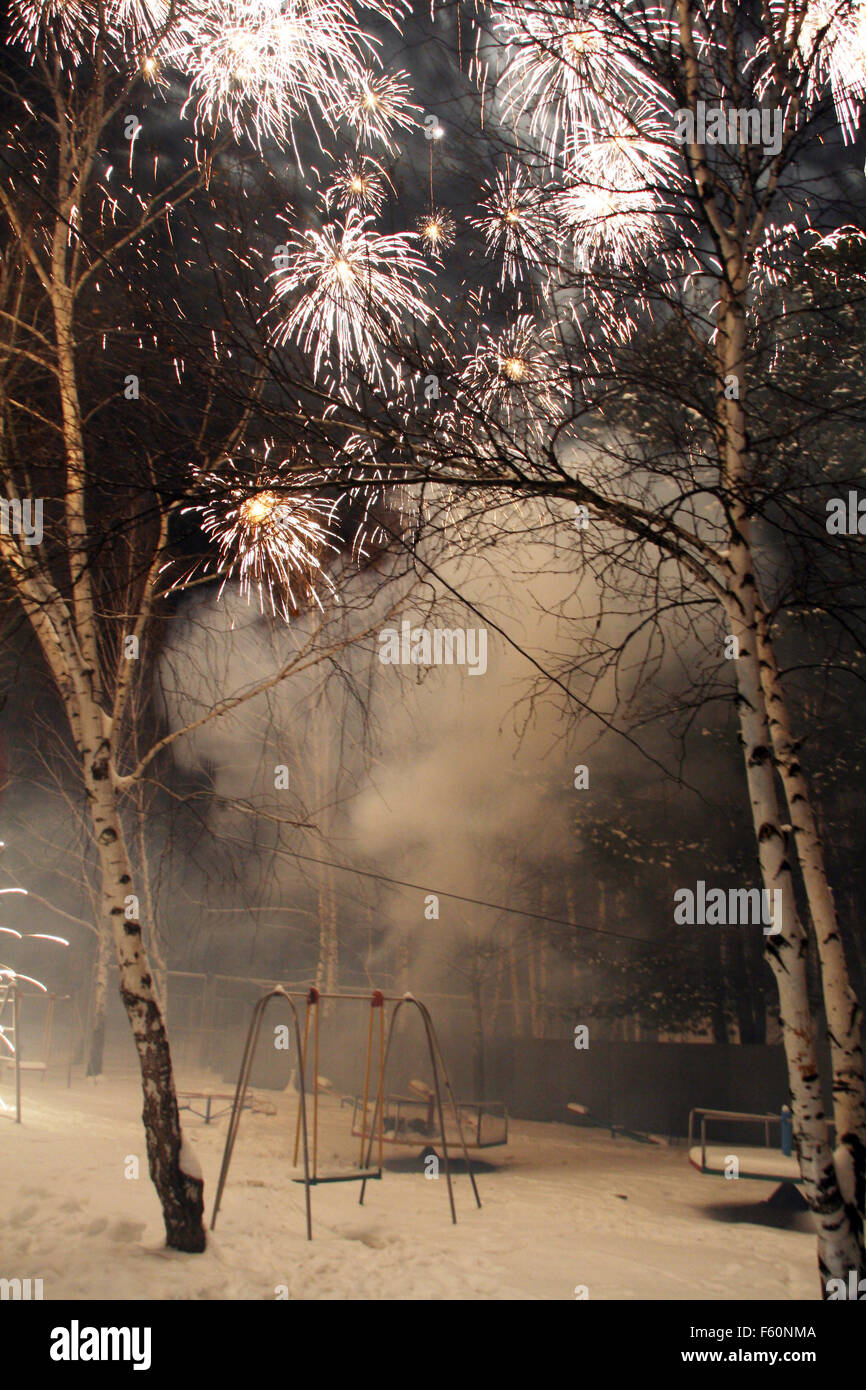Night fireworks in winter birchs Stock Photo - Alamy