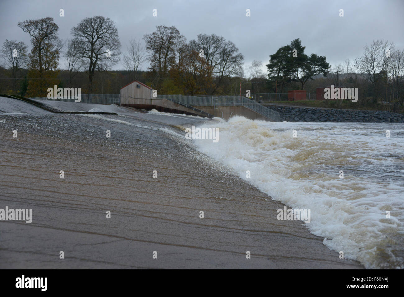 Philiphaugh salmon hi-res stock photography and images - Alamy
