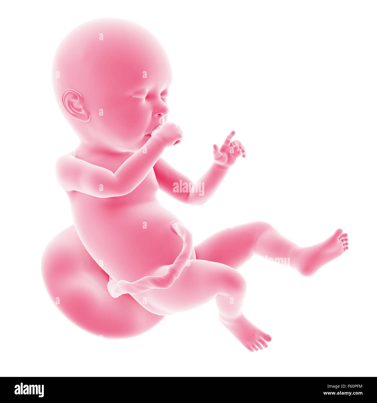 3d 40 hi-res stock photography and images - Alamy