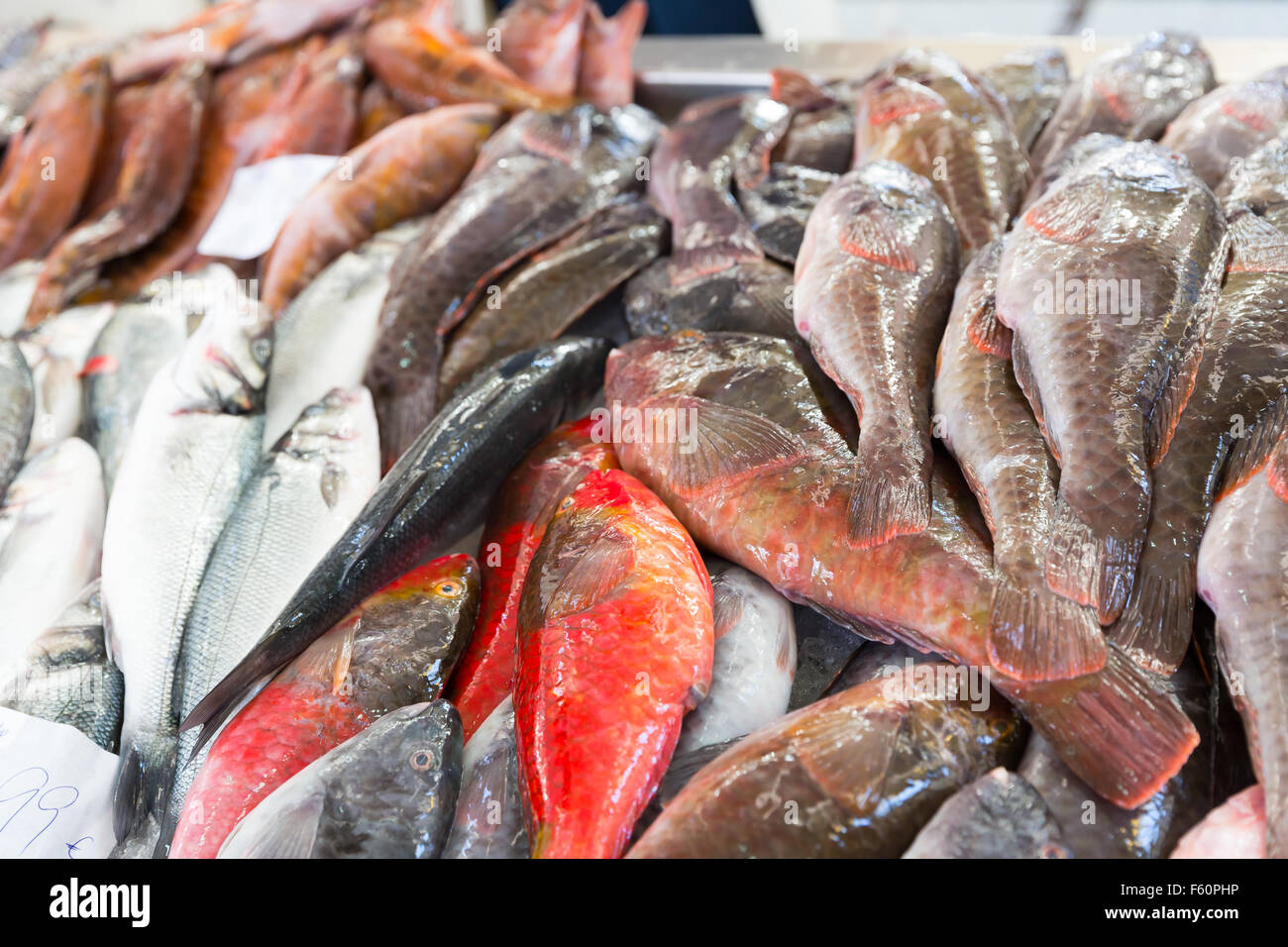 Big heap of fresh cartilaginous fish on the market Stock Photo - Alamy